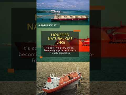 Bunkering 101: Types of Maritime Fuels