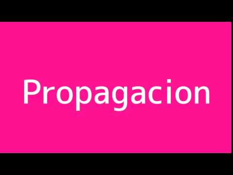 How to say Spread in Spanish