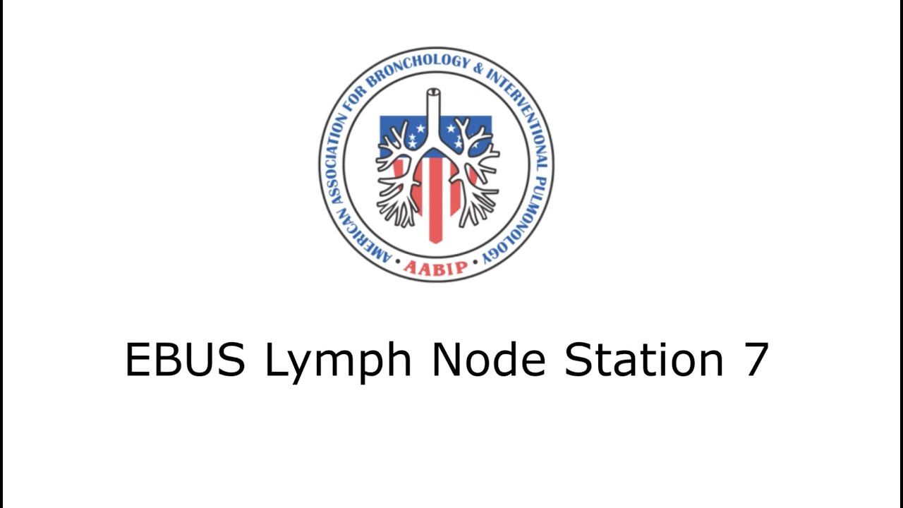 EBUS Lymph Node Station 7