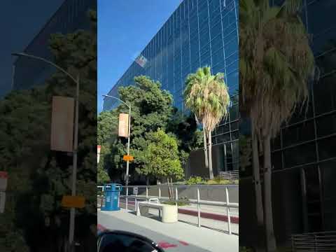 Long Beach , Los Angeles, 231