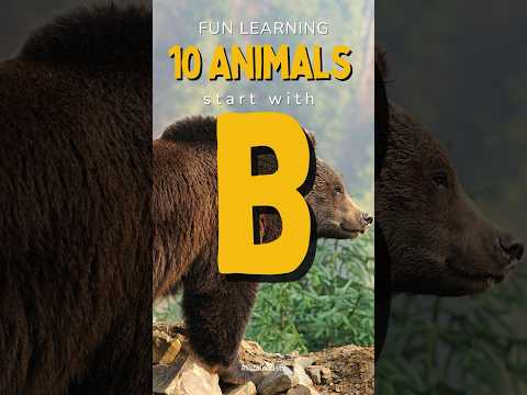 10 Brilliant Animals Starting with ‘B’! #shorts #lalalikidstv #animalshorts