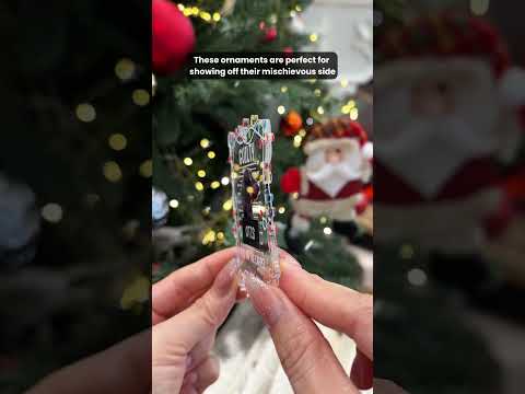 Dear Santa I Can Explain | Personalized Acrylic Photo Ornament