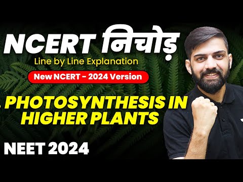 NCERT निचोड़: Photosynthesis in Higher Plants | NCERT Biology Line by Line Explanation NEET 2024