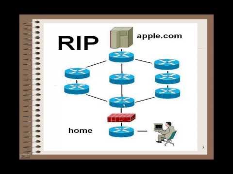RIP - Router Information Protocol