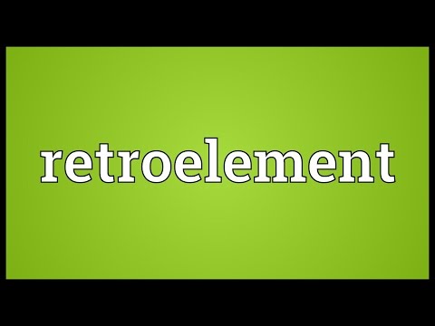 Retroelement Meaning