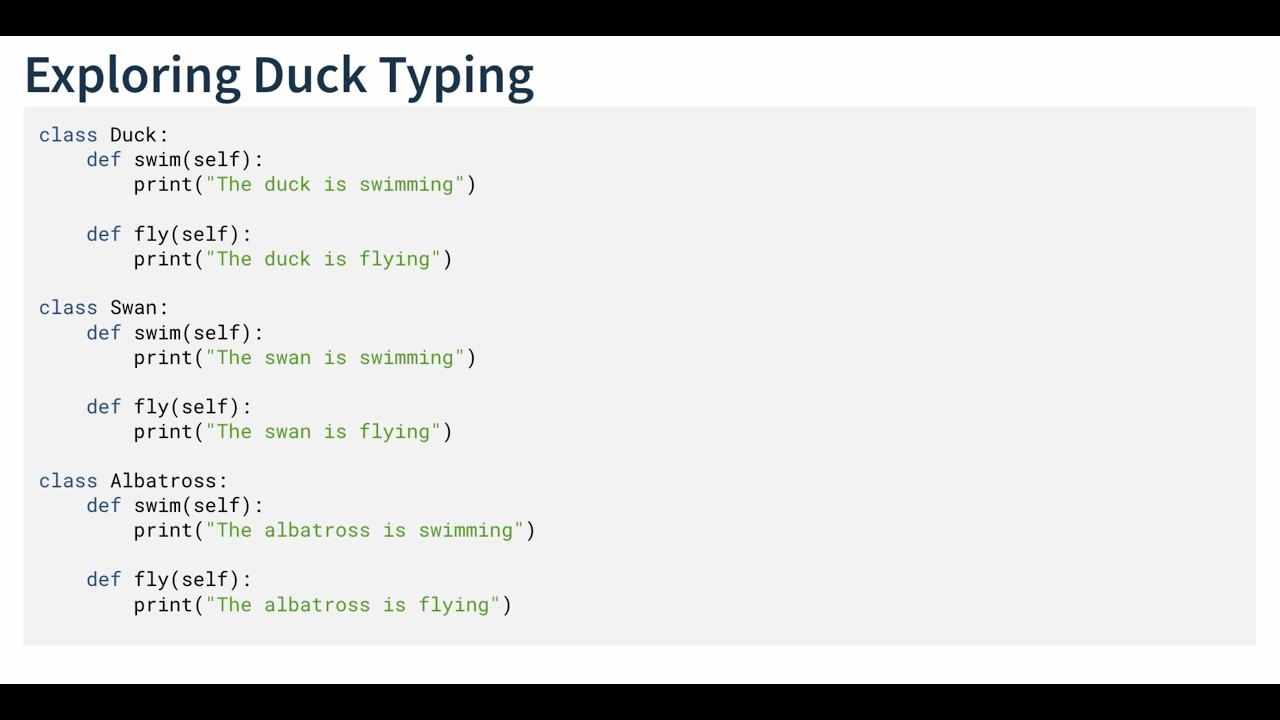 Introducing Duck Typing in Python