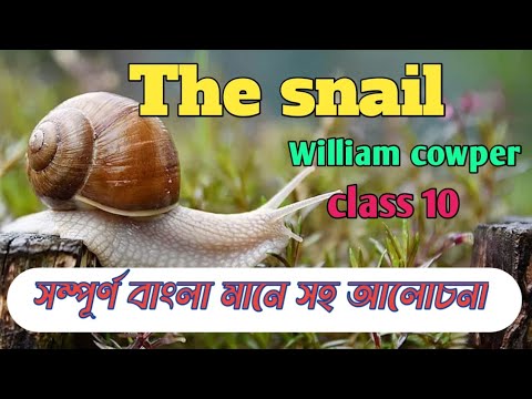 The snail by William cowper Bengali meaning /class 10/lesson 8/WBBSE