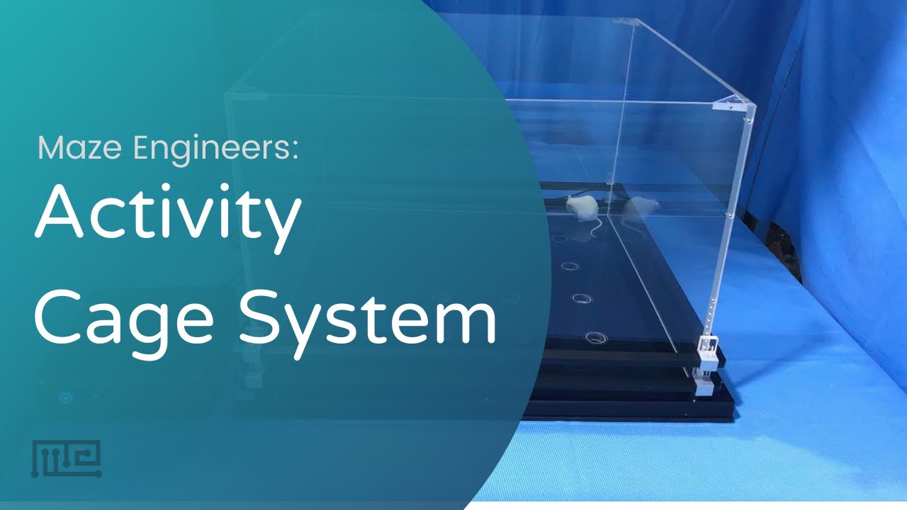 Maze Engineers: Activity System