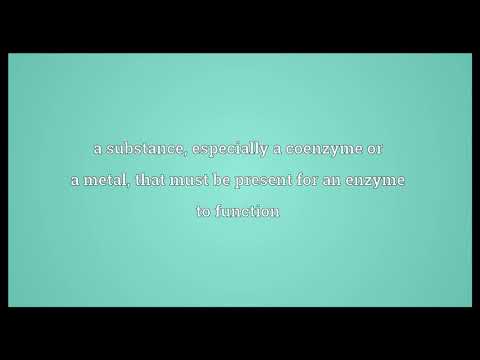 Cofactor Meaning