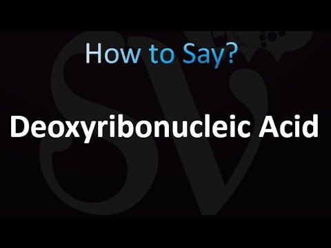 How to Pronounce Deoxyribonucleic Acid (Correctly!)
