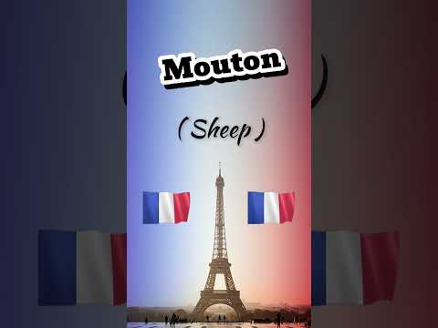 How to Pronounce Mouton in French #learnfrench #frenchforbeginner #frenchlessons #frenchlanguage