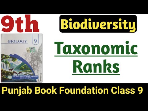 Taxonomic Ranks || Chapter 2 Biodiversity || Biology Class 9
