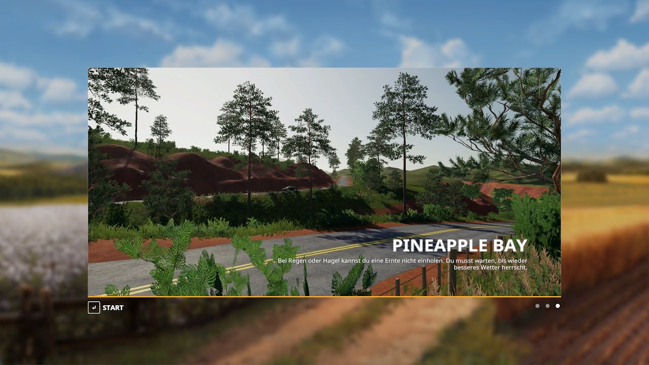 Pineapple Bay - FS 19
