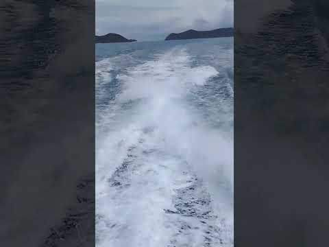 Two engines speedboat propulsion! #speedboat #thailand #travel #sea#propulsion