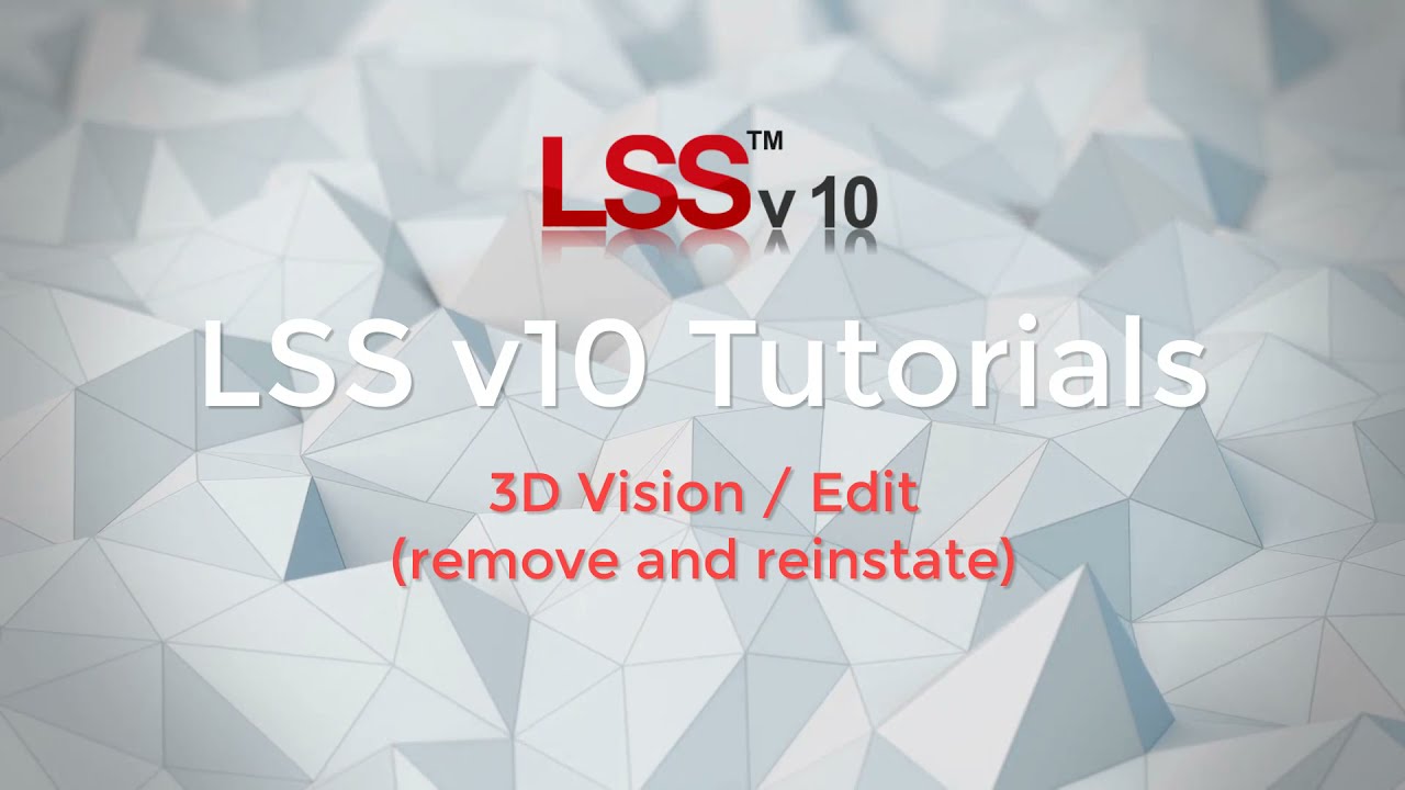 3D Vision Edit Command - LSS Tutorial
