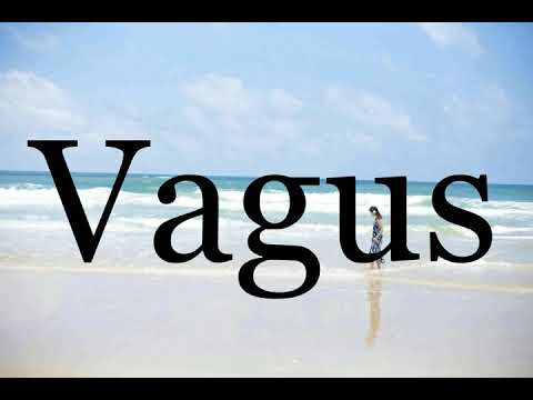 How To Pronounce Vagus🌈🌈🌈🌈🌈🌈Pronunciation Of Vagus