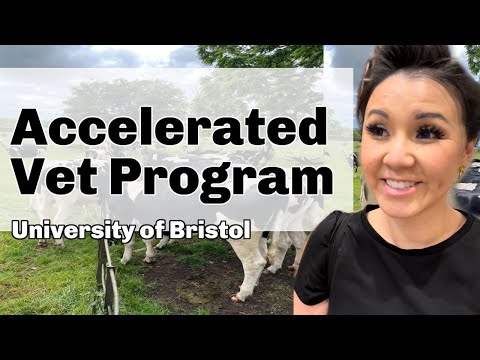 UK College Visit - Get your Vet Degree in 5 Years (!!!): University of Bristol