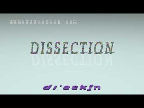 dissection - pronunciation + Examples in sentences and phrases