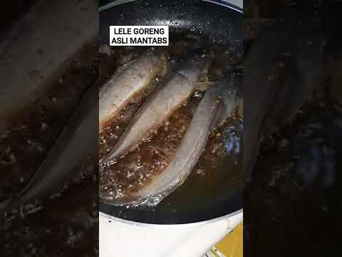 RESEP LELE GORENG ASLI MANTAP