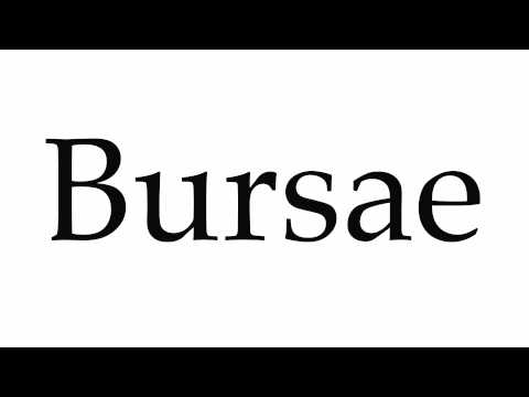 How to Pronounce Bursae