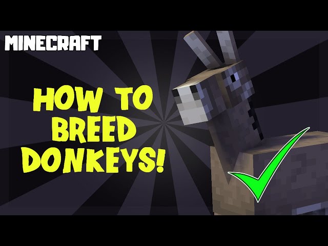 Top 5 uses of donkeys in Minecraft