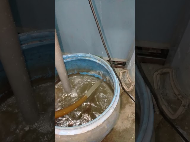 Barrel Pump - Industrial Barrel Pump Manufacturer from Mumbai