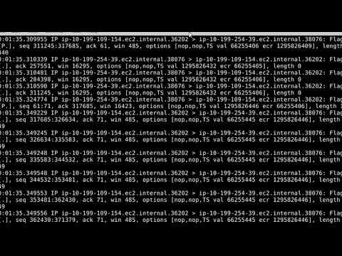 tcpdump Introduction