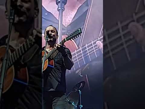 Bartender!…🎥 _angela_cooper_(ig) Dave Matthews Band - Chicago 2021