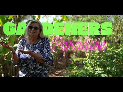 272 Cedar St, Englewood FL 34223
