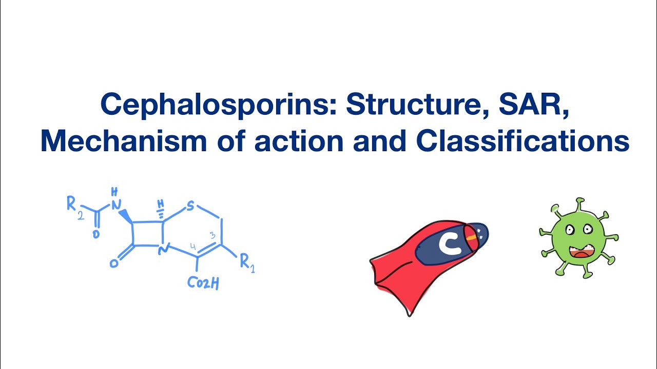 Cephalosporins: Structure, SAR, Mechanism of action and Classifications / Infectious Disease