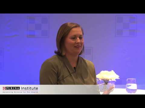 Prebiotics, Probiotics & Non-Replicating Microorganisms.