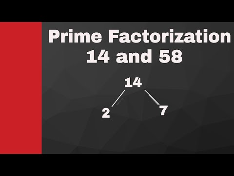 Prime factorization 14 and 58