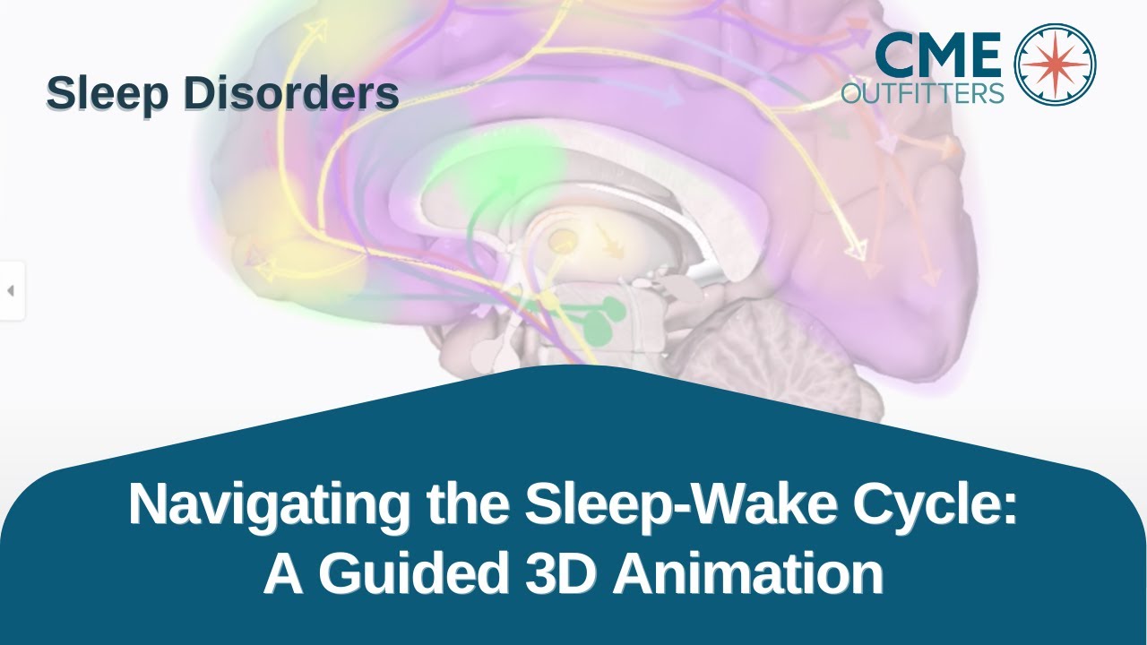 Navigating the Sleep-Wake Cycle: A Guided 3D Animation