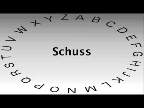 Spelling Bee Words and Definitions โ Schuss