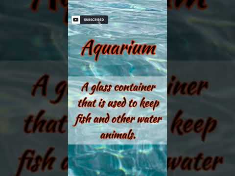 Aquarium Meaning-Vocabulary of the day #shorts