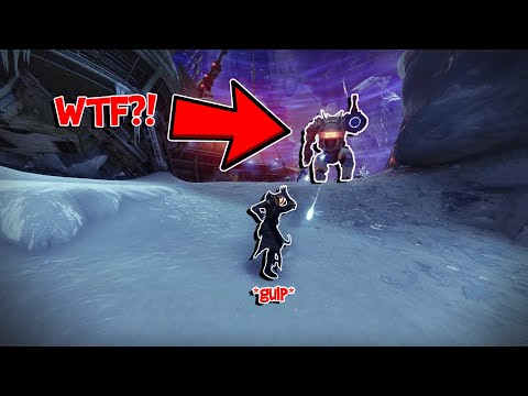Steam Community :: Video :: FIGHTING THE BIGGEST BRIG EVER!! | Destiny 2
