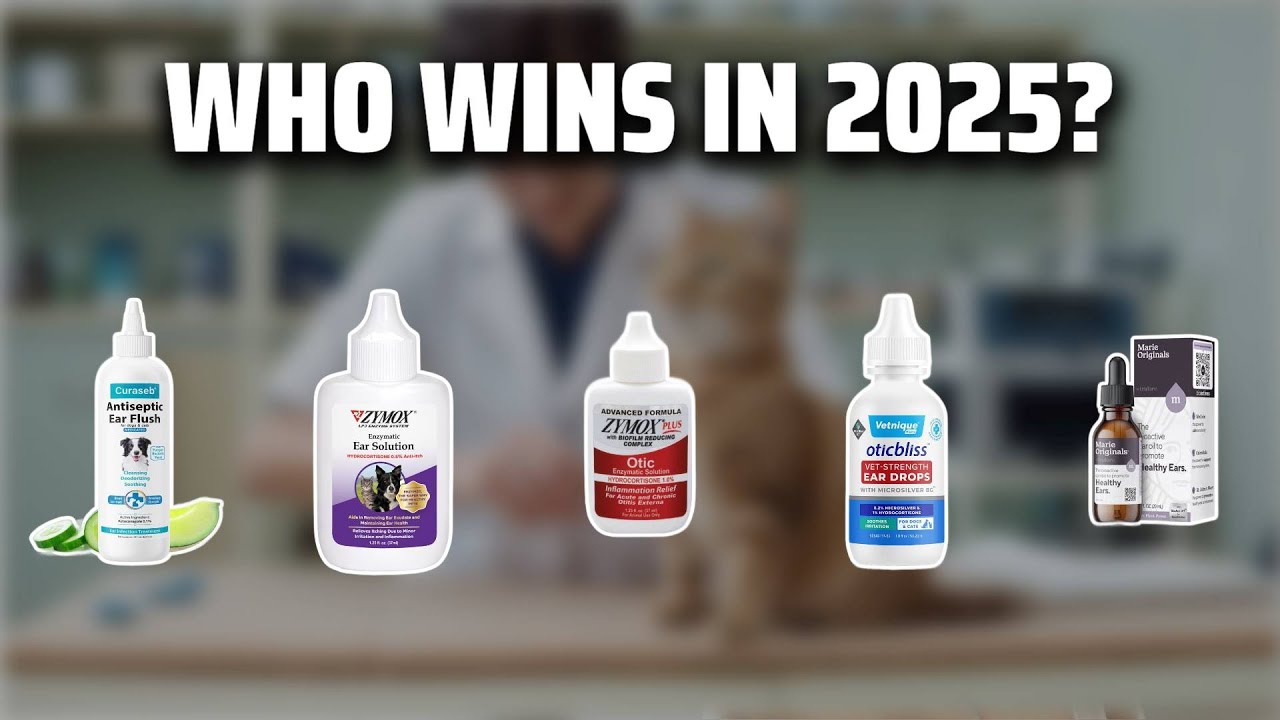 The Top 5 Best Ear Drops in 2025 - Must Watch Before Buying!