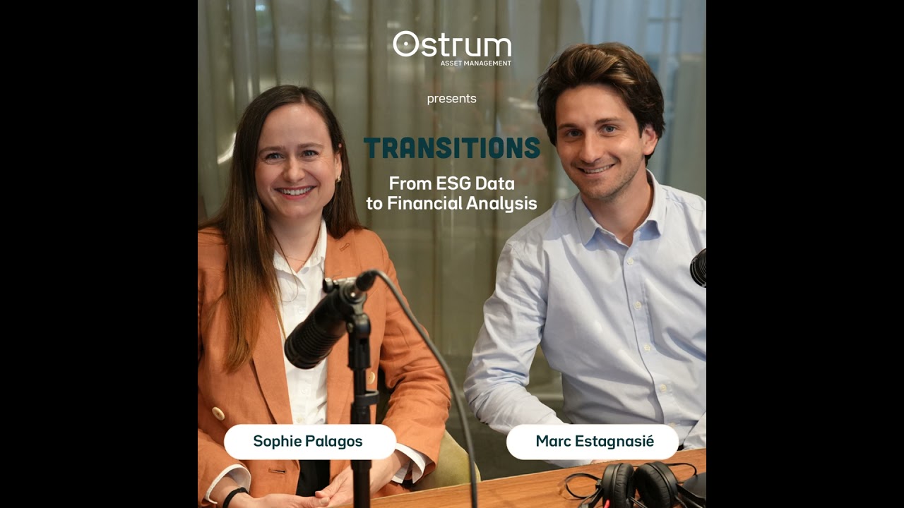 From ESG Data to Financial Analysis