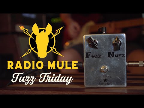 Austone Textone Fuzz Nutz | Reverb