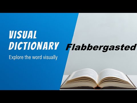 Flabbergasted Meaning | Flabbergasted Definition | Flabbergasted Pronunciation |Visual Dictionary