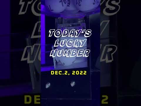 The REAL Random Number Generator 1 to 100 ► Dec.2, 2022 ◄