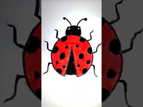 Ladybug satisfying drawing art #satisfying #shorts #painting #ytshort
