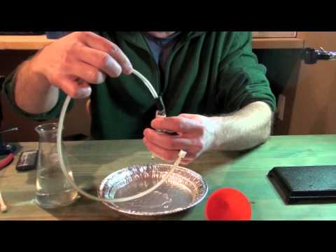 ScienceMan Digital Lesson - Biology - Dialysis Tubing Experiment Tips