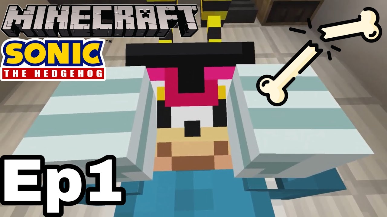 Charmy’s Broken Leg - Minecraft Sonic [1]