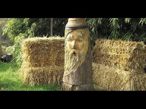 Bee Beard Log Hive…Robber Bees? | Adventures in Natural Beekeeping