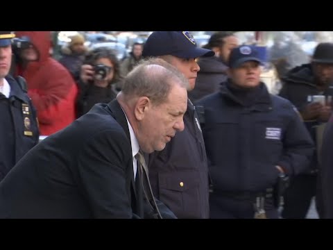 Weinstein's lawyers try to ban Allred from court