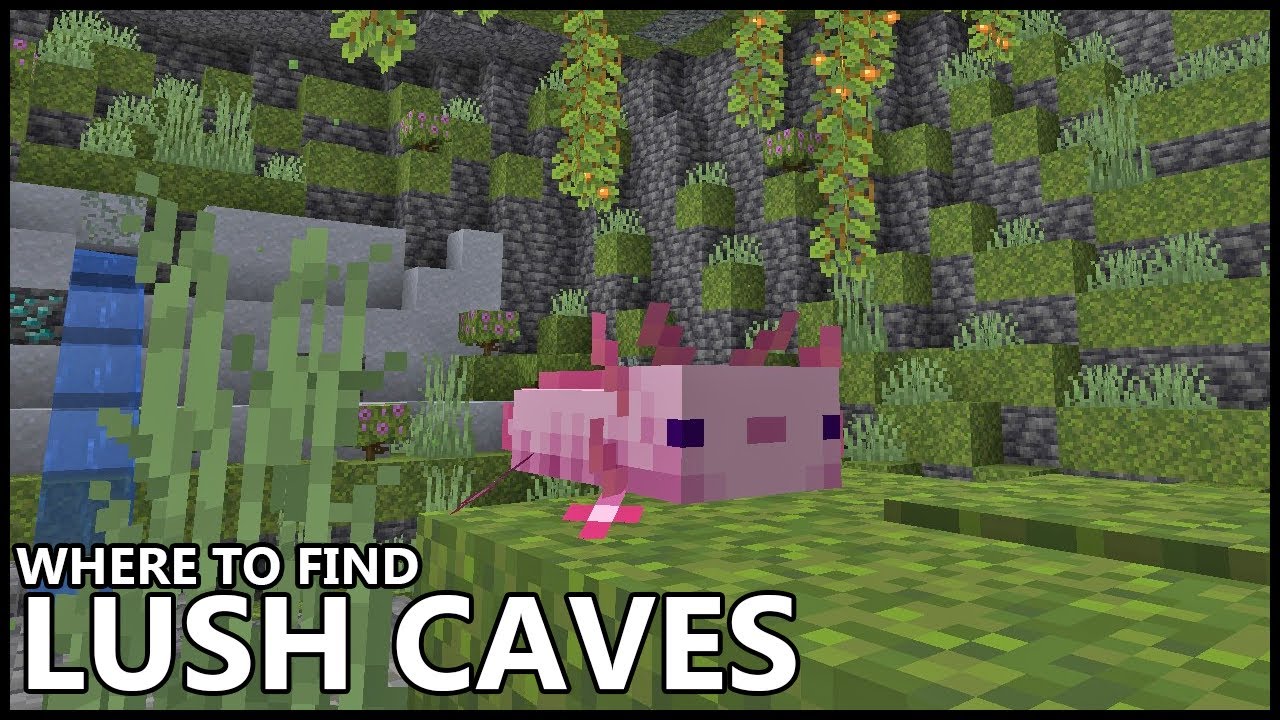 Where To Find LUSH CAVE BIOMES In MINECRAFT