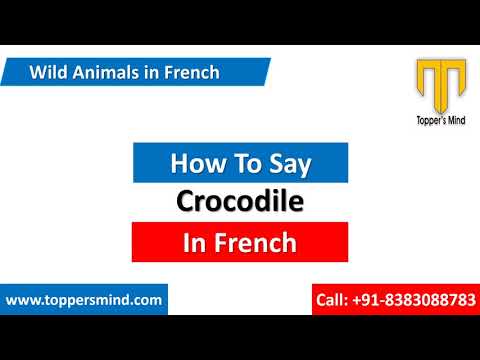 How to say crocodile in French