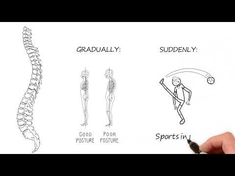 What is Chiropractic? What do Chiropractors do?