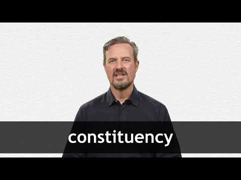 CONSTITUENCY definition in American English | Collins English Dictionary